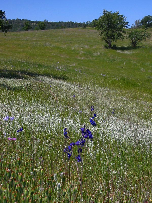 Untitled Document [www.yolohiker.org]